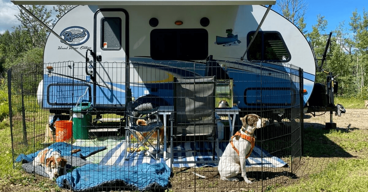 11 Best Dog RV Accessories of 2024 - RVing Beginner
